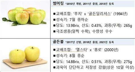 기후변화로 주목받는 초록 사과ㆍ노란 사과