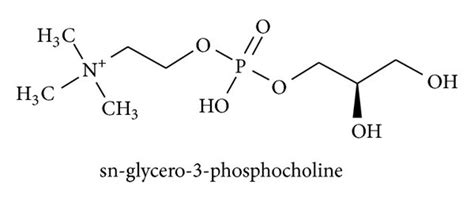 Chemical Structure Of Choline Phosphocholine Download Scientific Diagram