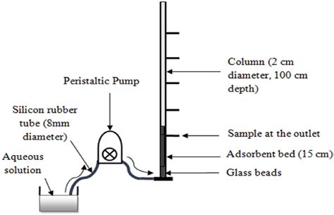 Experimental Setup Of Column Study Download Scientific Diagram
