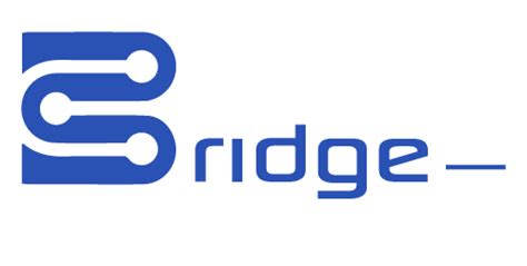 Binary Bridge It Solution Llc It Services Provider