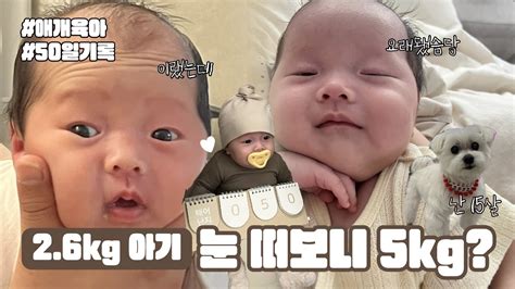 유봄이네 하우스 첫 V Log😘 신생아에서 통통한 2개월 아가가 되기까지 어설픈 엄마아빠의 우당탕탕 육아기록 Youtube