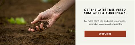 Dammann S Garden Company HOW TO IDENTIFY YOUR SOIL TYPE