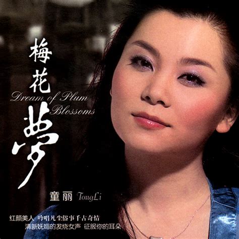 童丽 HiFi音乐网