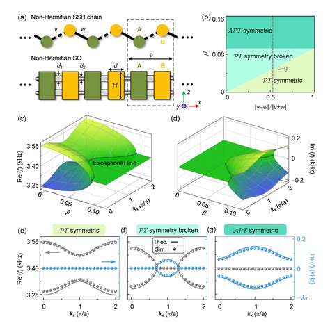 南京大学声学研究所刘晓峻教授和程营教授课题组在非厄米声学研究领域取得重要进展