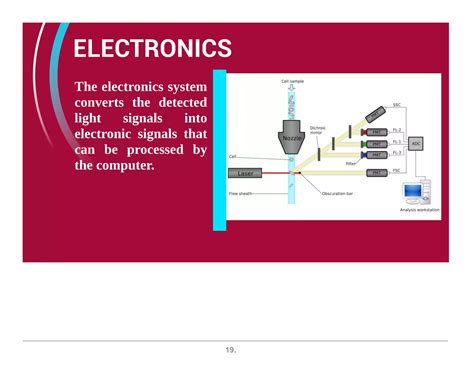 Flowcytometry And Sexed Semen Ppt