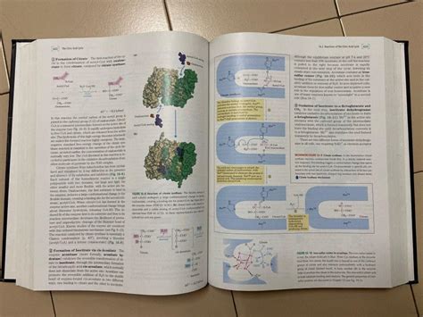 Lehninger Principles Of Biochemistry Hobbies And Toys Books And Magazines