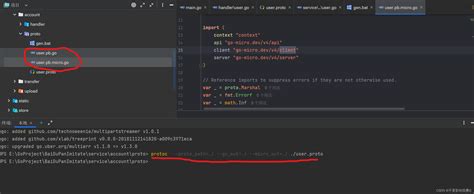 Golang安装protobuf以及go Microprotoc Go Csdn博客