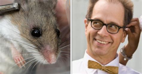 Of Mice And Men 10 Sex Lessons From The Wild