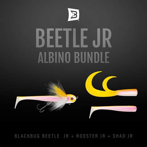 Blackbug Beetle Jr Bundle Albino Blackbay Shop