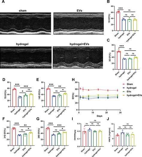 Intranasal Delivery Of Endothelial Cell Derived Vesicles Ijn