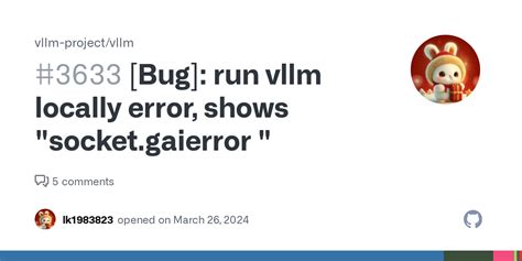 Bug Run Vllm Locally Error Shows Socketgaierror · Issue 3633