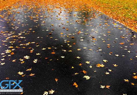 عکس باران🌧️دانلود بهترین عکس های بارانی با کیفیت بالا