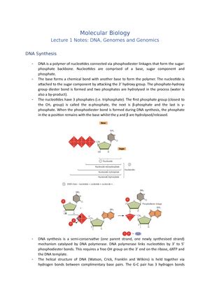 Lecture 1 Notes DNA Genomes And Genomics Part 3 Molecular Biology Lecture 1 Notes DNA