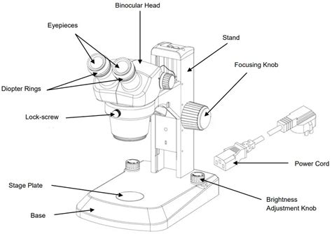 Accu Scope 3072 Series Stereo Microscope Instruction Manual
