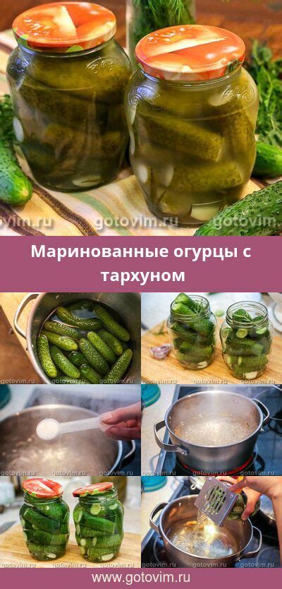 Маринованные огурцы с тархуном Рецепт с фото Квашеная капуста
