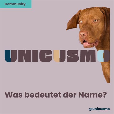 Michael Speich On Linkedin Join Unicusmo Become A Dog Sitter And Get