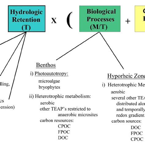Nutrient Spiraling In Stream Ecosystems Solid Arrows Represent Travel