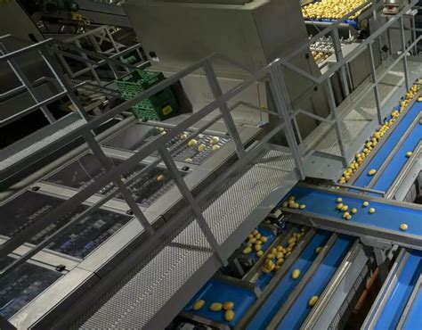 Newtec Celox Optical Sorting Us Tong Engineering