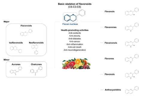 Classification Of Flavonoids Based On Chemical Structure Download