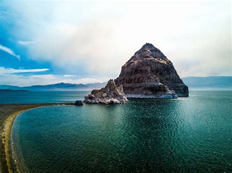 Pyramid Lake Fish Report Sutcliffe Nv Washoe County