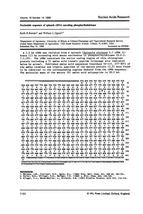 Nucleotide Sequence Of Spinach Cdna Encoding Phosphoribulokinase Pmc