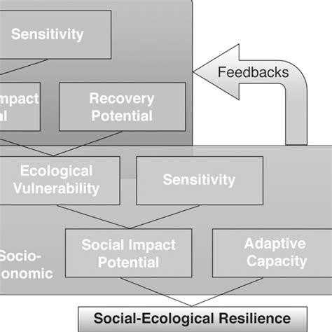 Original Resilience Based Conceptual Framework Describing Download