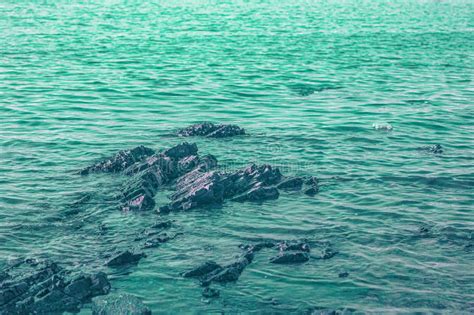 Infrared Photography Building With A Simple And Modern Architectural Design Stock Image Image
