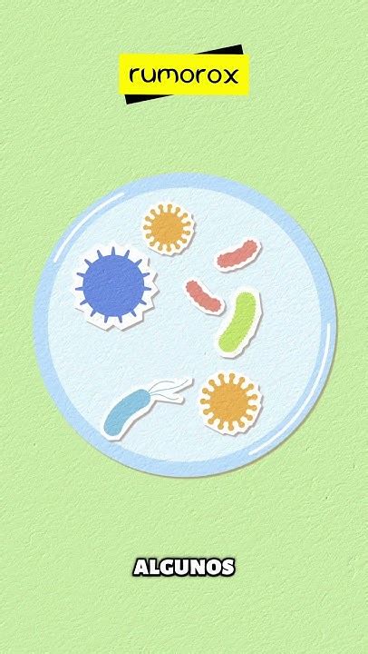 ¿qué Es La Criptobiosis Youtube