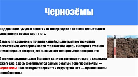 Зональные типы почв презентация онлайн