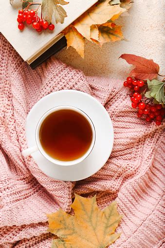 베이지색 질감의 테이블 위에 향기로운 차 한 잔과 부드러운 핑크색 스웨터가 있는 플랫 레이 구성 가을 분위기 0명에 대한 스톡 사진 및 기타 이미지 Istock