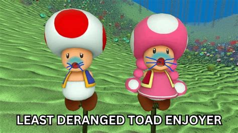 Found This While On The Hunt For Toad Content Rsavagetoad