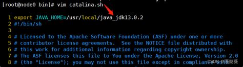Windows和linux系统下tomcat指定jdk路径 Csdn博客