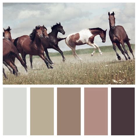 Wild West Neutral Color Palette Color Palette Pink Color Palette Design Western Color Palette