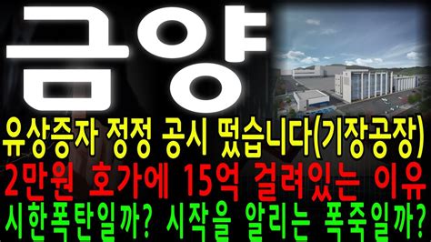 🟡 금양 주가 전망 긴급 유상증자 공시떴습니다 대응해서 상승구간에 손실회복 하세요 30장대양봉 곧 터집니다 절대