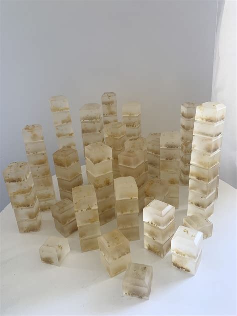 Building Blocks Of Life Elizabeth Ficken