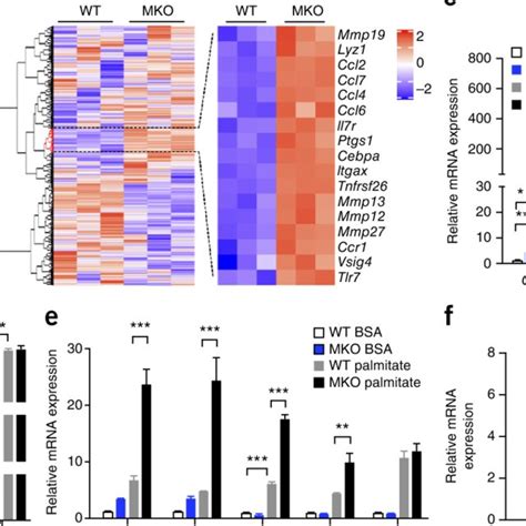 Gps2 Deficient Macrophages Mko Display A Pro Inflammatory Gene