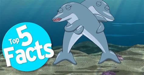Top 5 Freaky Facts About Dolphin Sex Articles On