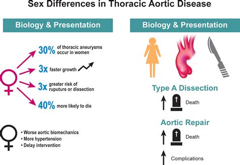 Cardiac Surgery In Women In The Current Era What Are The Gaps In Care