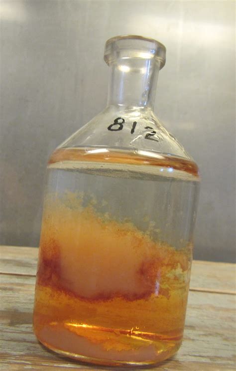 Dissolved Oxygen Archives Adventures In Oceanography And Teaching