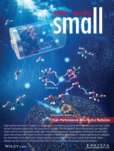 科研绘图sci画图作图学术杂志封面设计toc示意图文章配图医学动画