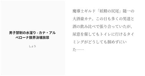 R 18 フェアリーテイル トイレ我慢 男子禁制の水溜り カナ・アルベローナ限界決壊放尿 しょうの小説 Pixiv