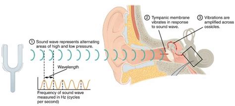 The Logical Blog By IconLogic ELEARNING DEVELOPMENT Audio Text Or Both