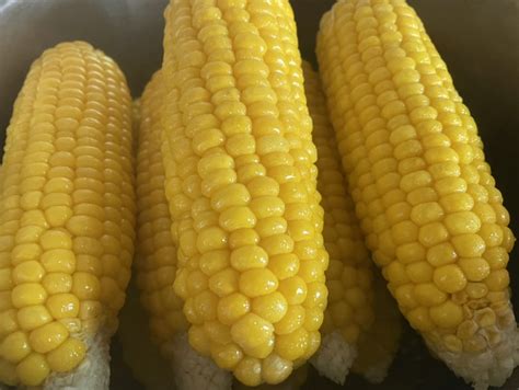 초당 옥수수 찌는법 ~ 초당옥수수 요리법