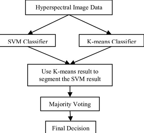 The Diagram Of The Proposed Decision Fusion Approach Download Scientific Diagram