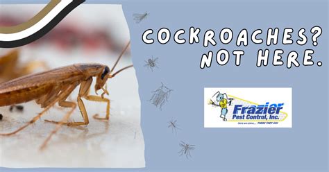 Cockroach Infestation Solutions For Coachella Valley Frazier Pest Control