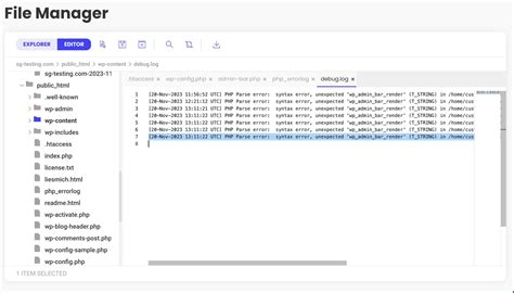 How To Find And Access Wordpress Error Logs Complete Guide