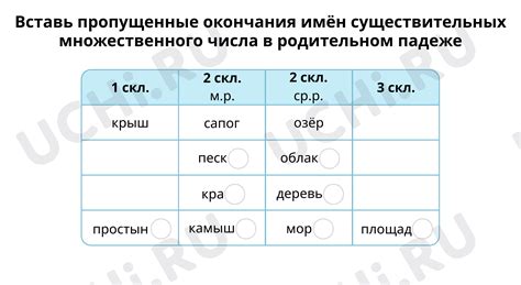 Правописание окончаний имён существительных множественного числа в родительном падеже