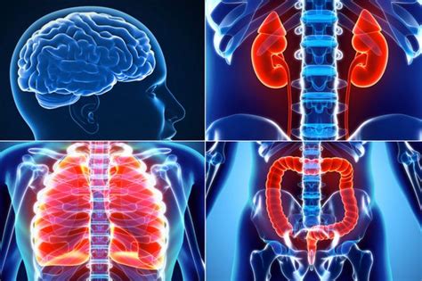 Sex Education News Views Gossip Pictures Video Mirror Online