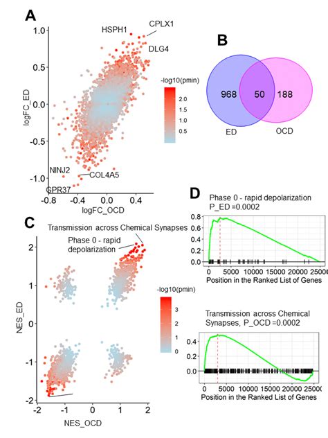 Expression Alterations Of The Prefrontal Cortex Of Ed And Ocd Patients