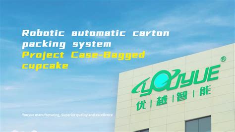 Packing Robot Delta Machine Conveyor System Shandong Youyue Intelligent Equipment